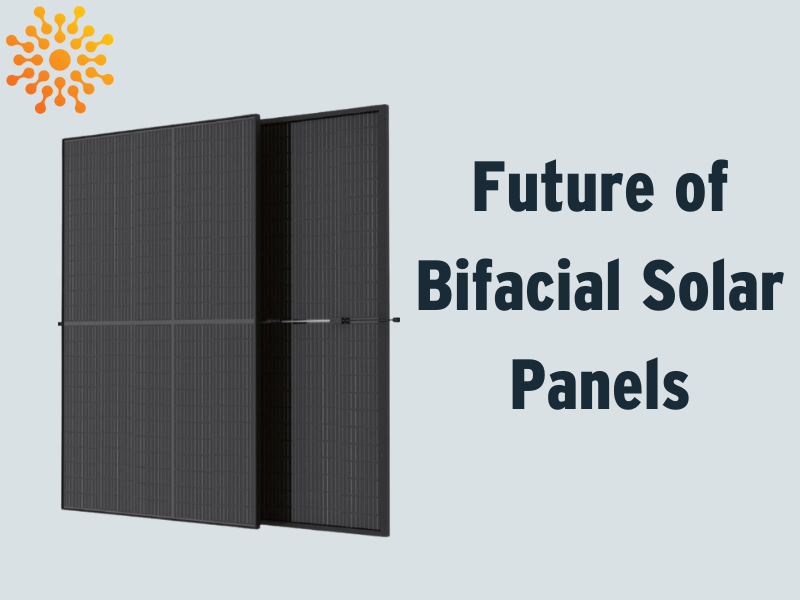 What the Future Holds for Bifacial Solar Modules | Sunhub