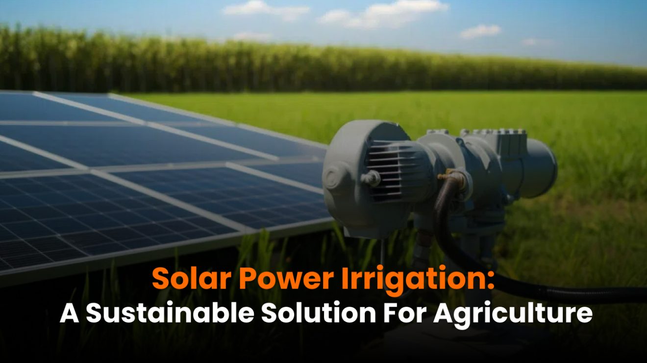 Solar powered irrigation: A sustainable solution for agriculture